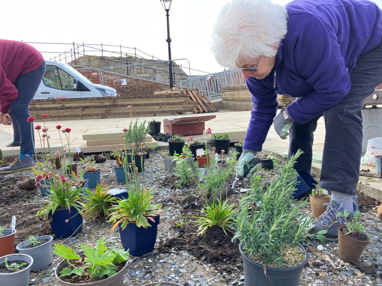 New planting in front of Nelson - FOOPA